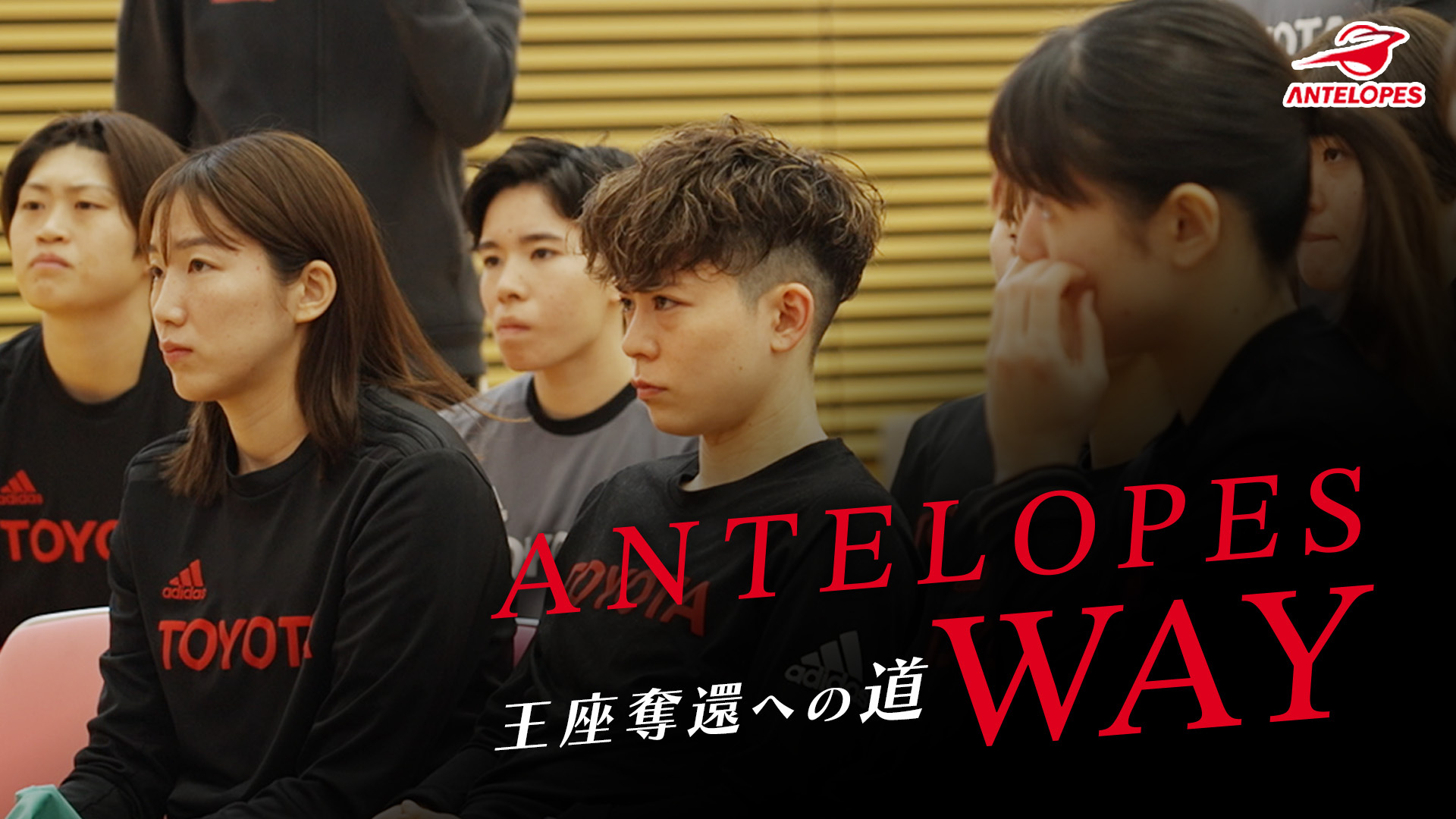 【前編】Antelopes way ~王座奪還への道~ | トヨタイムズスポーツ